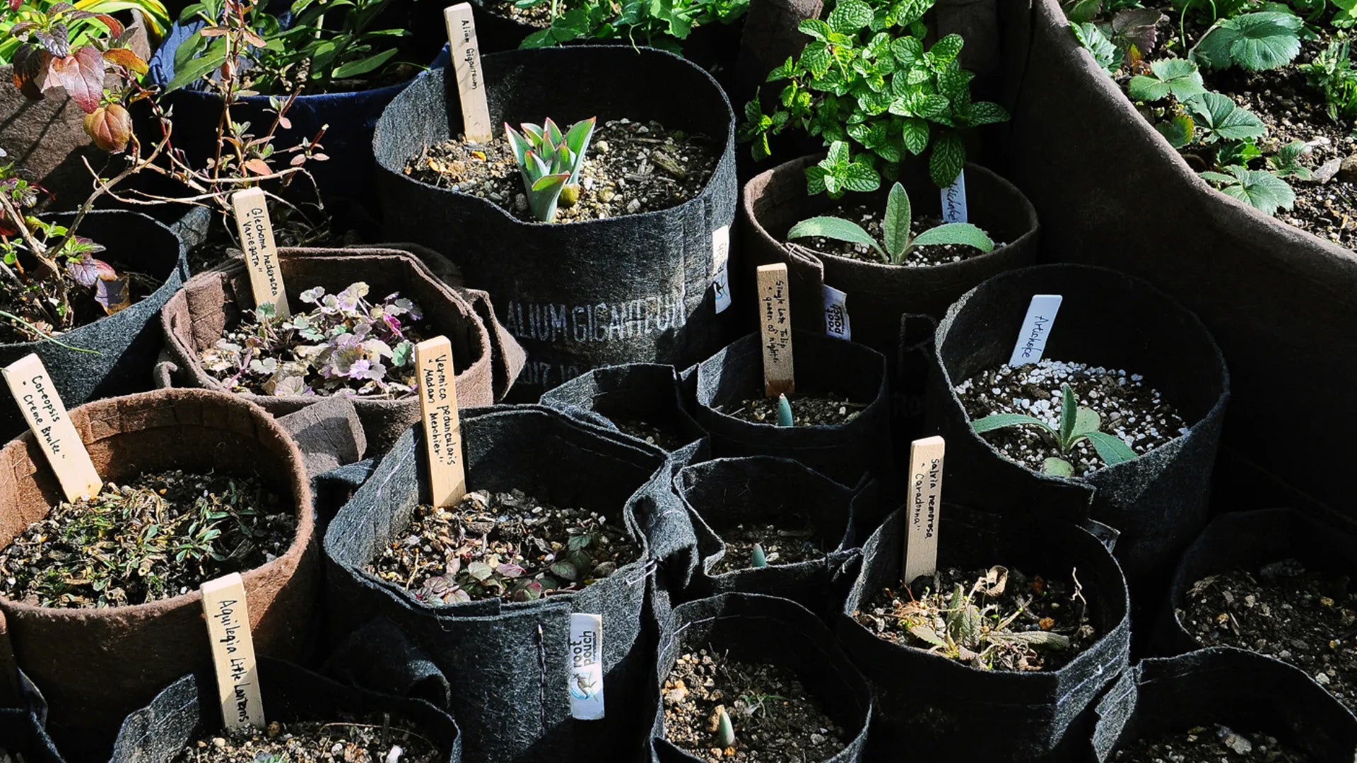 Why Sustainable Gardening Starts with the Right Container: A Guide to ...